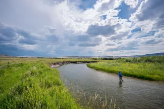 Montana Fly Fishing Rivers | Montana Angler