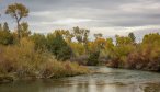 Ruby River Fly Fishing | Montana Angler Fly Fishing