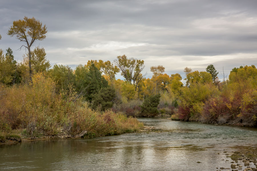 Ruby River Fly Fishing | Montana Angler Fly Fishing