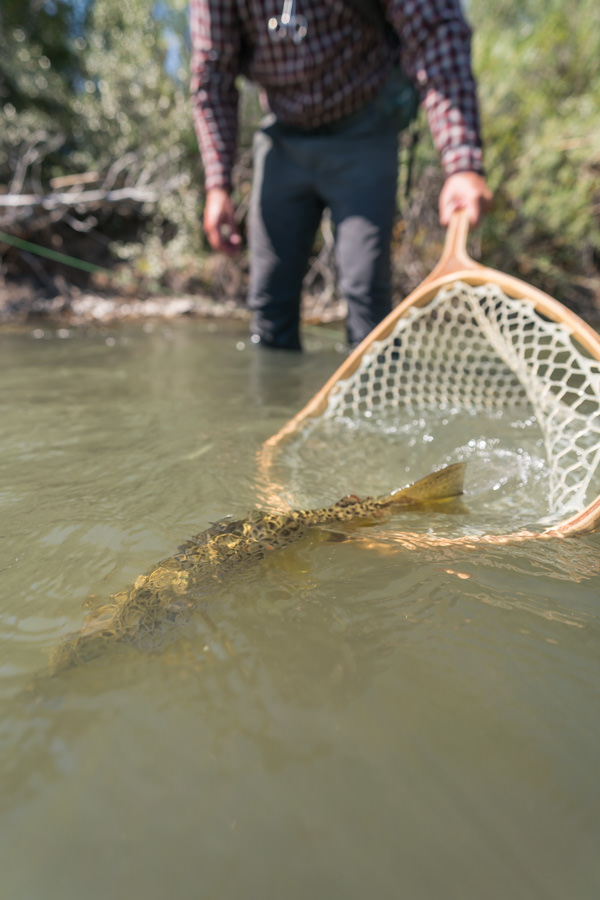 Ruby River Fly Fishing | Montana Angler Fly Fishing