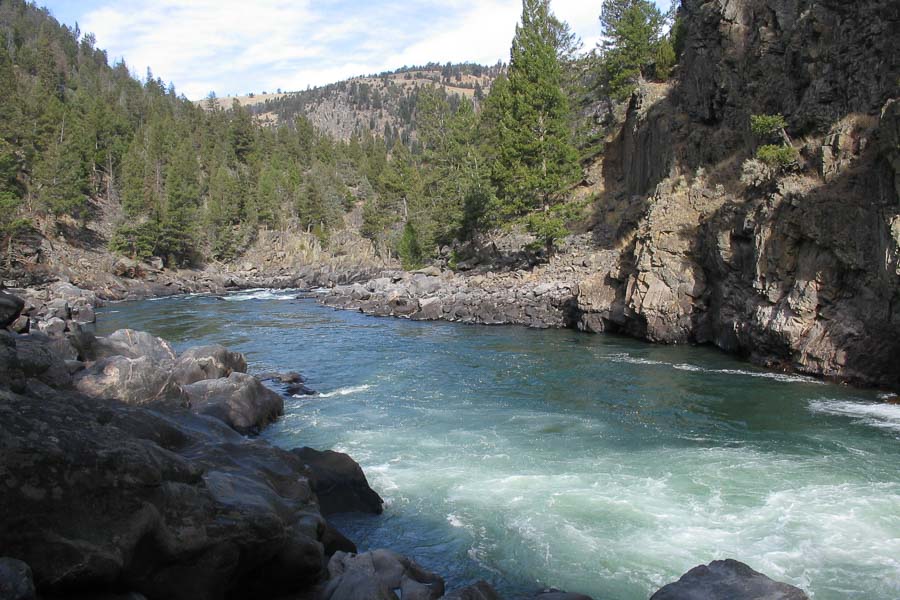 Yellowstone National Park Fishing Trips | Montana Angler