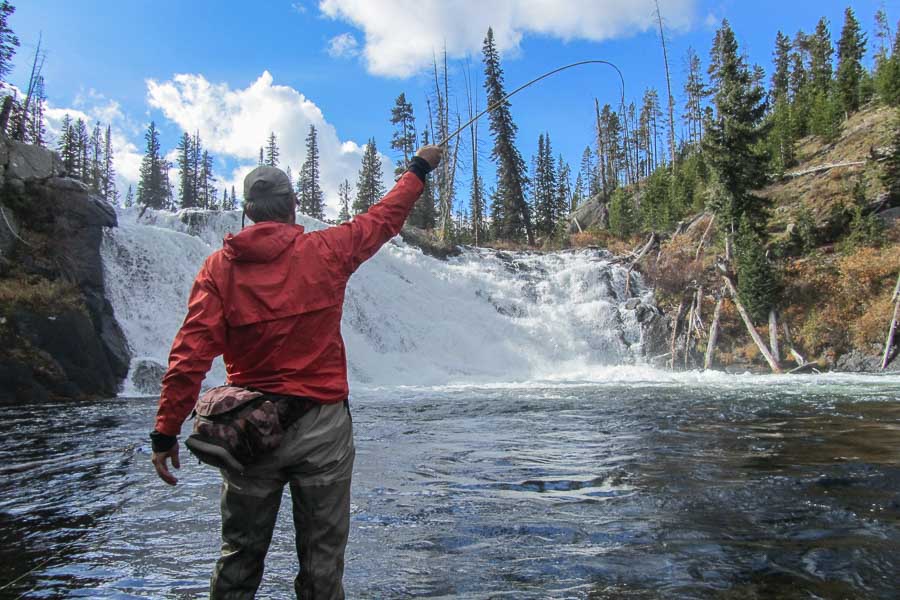 Lewis River Fly Fishing | Yellowstone National Park