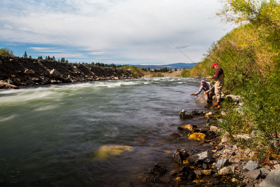 Madison River Fishing Report